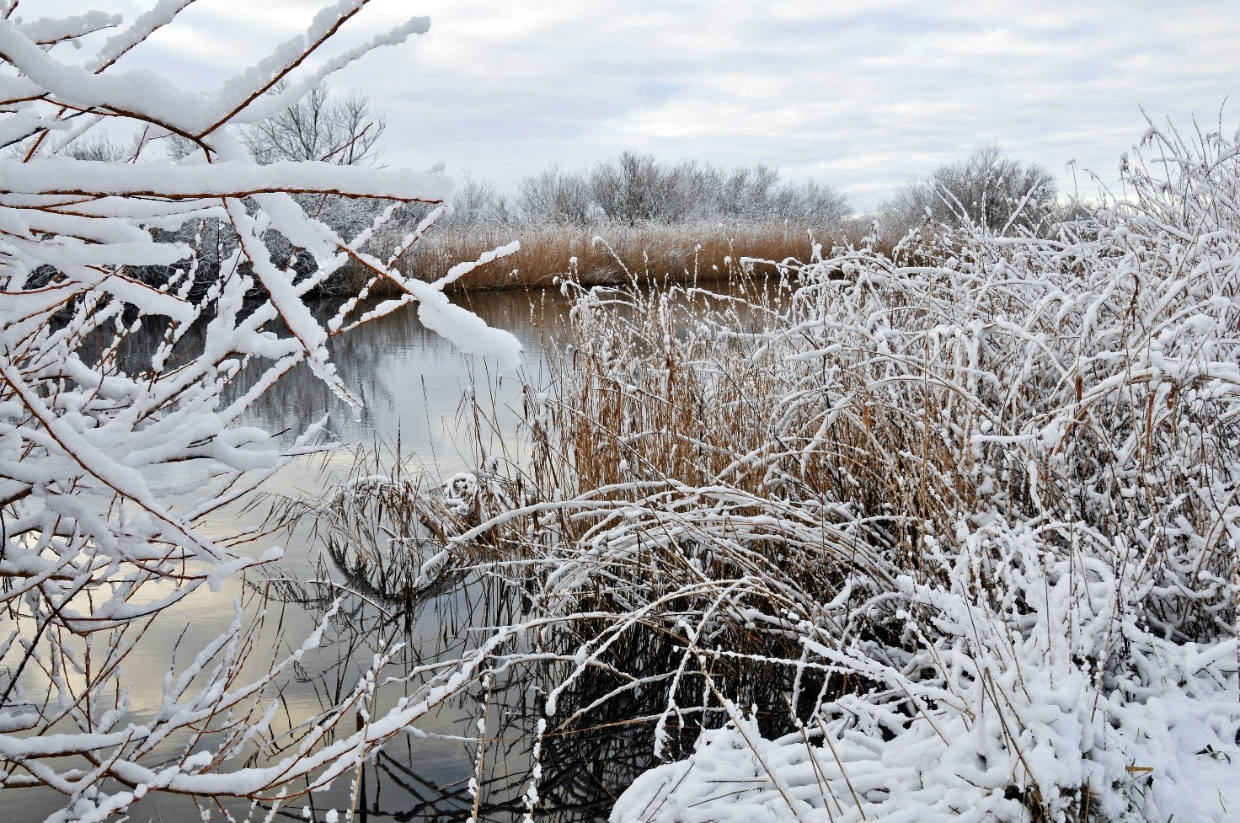 Fem lækre løberuter i Randers - Randers Netavis