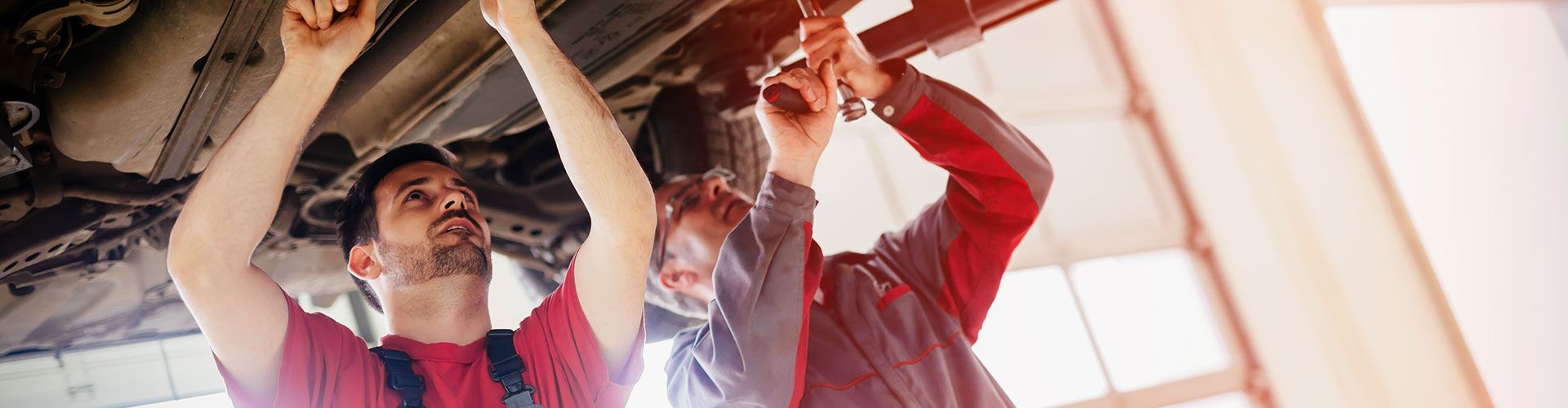 RandersPava Profil - Randers Netavis