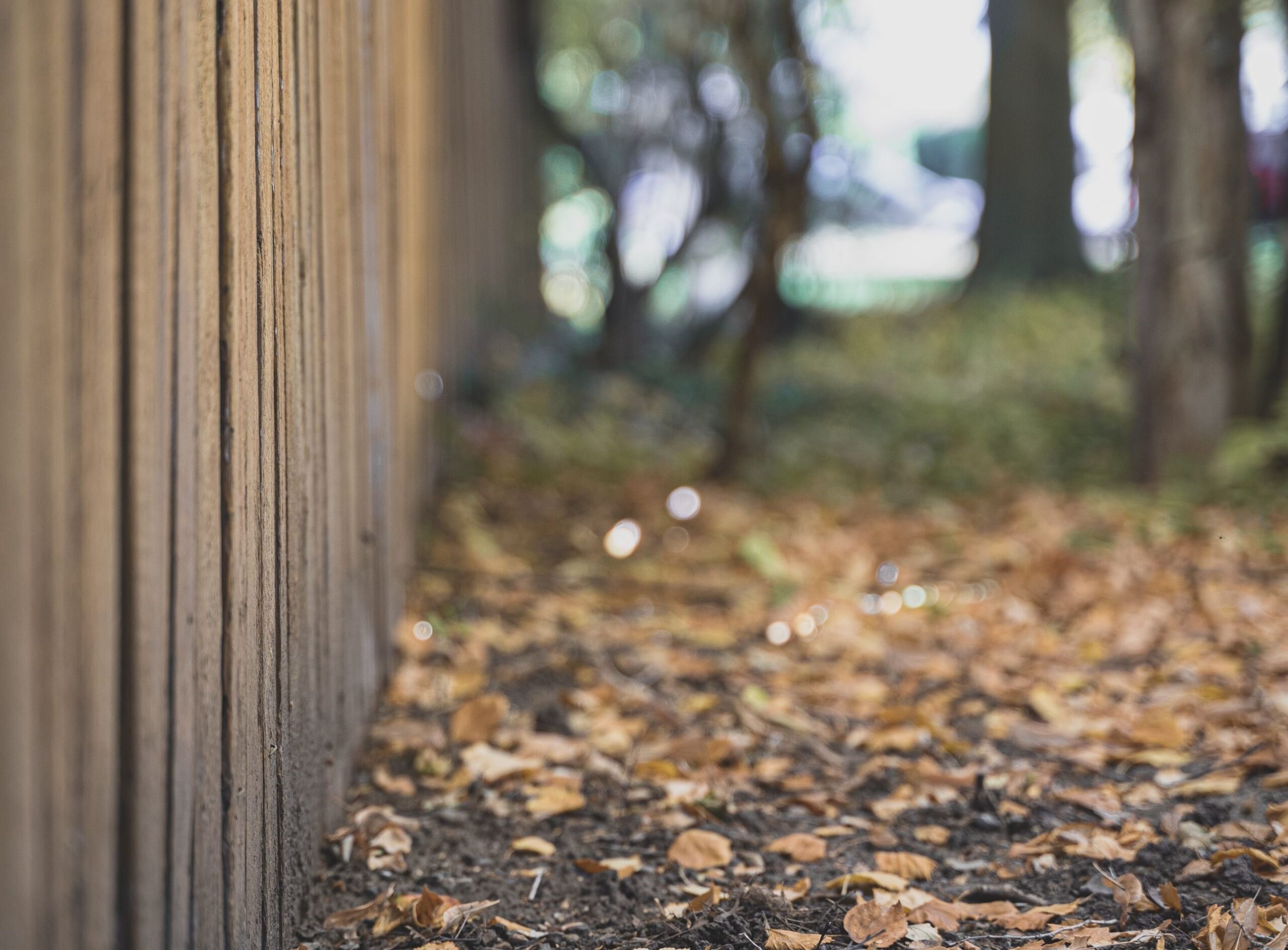 Når larm og støj ikke generer - Randers Netavis